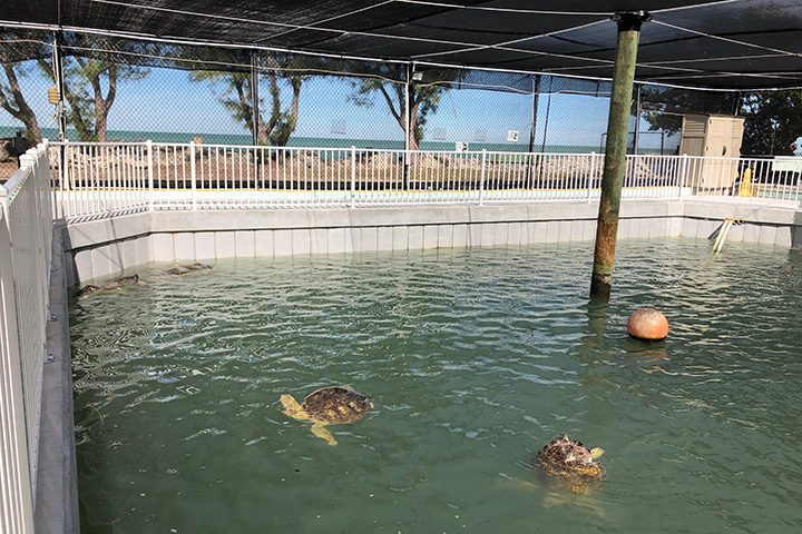 Seawalls, Bulkheads & Retaining Walls | TRULINE® Features & Benefits